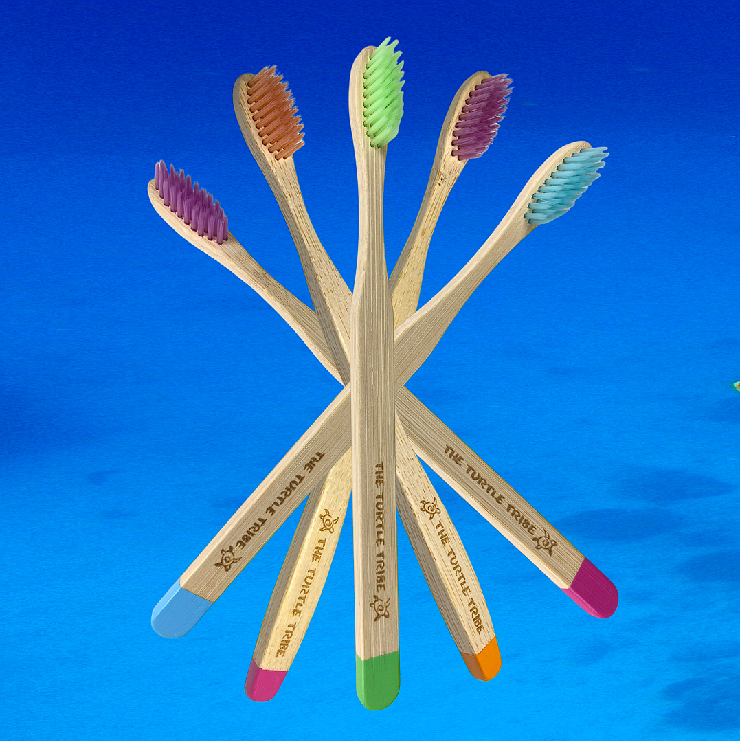 Shop Toothbrushes – The Turtle Tribe