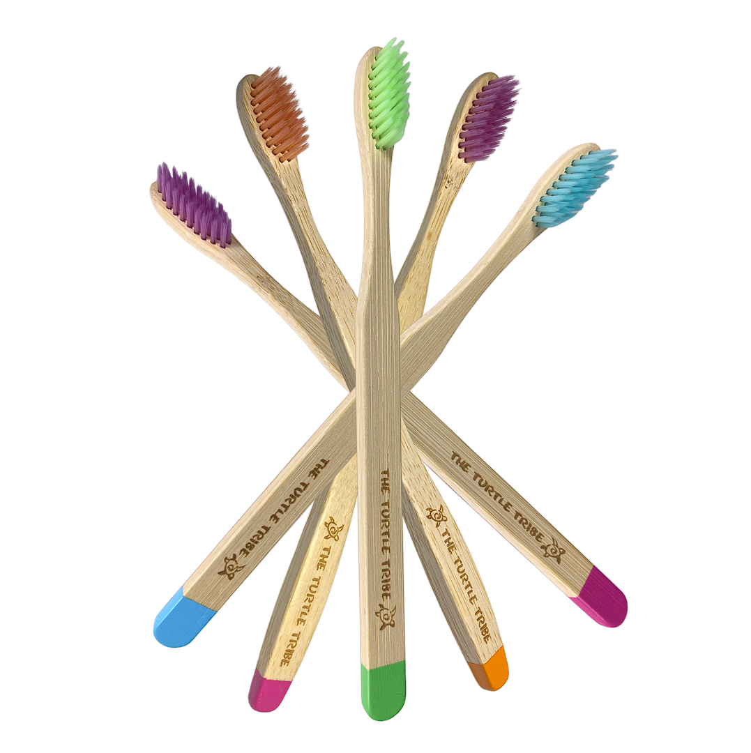 The Mission – The Turtle Tribe